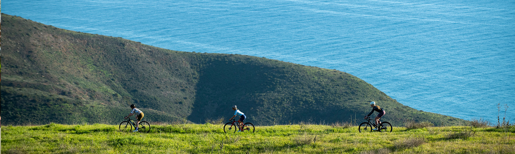 BWFW – Cadence Collection